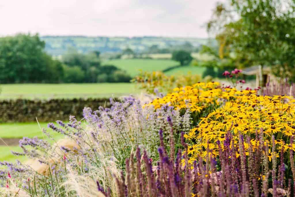 Contemporary country garden with all weather outdoor sofas