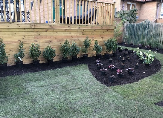 Plant supply and plant delivery - what, why and where?