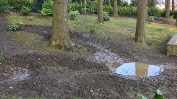 The water table and your garden - what it is and how to work with it