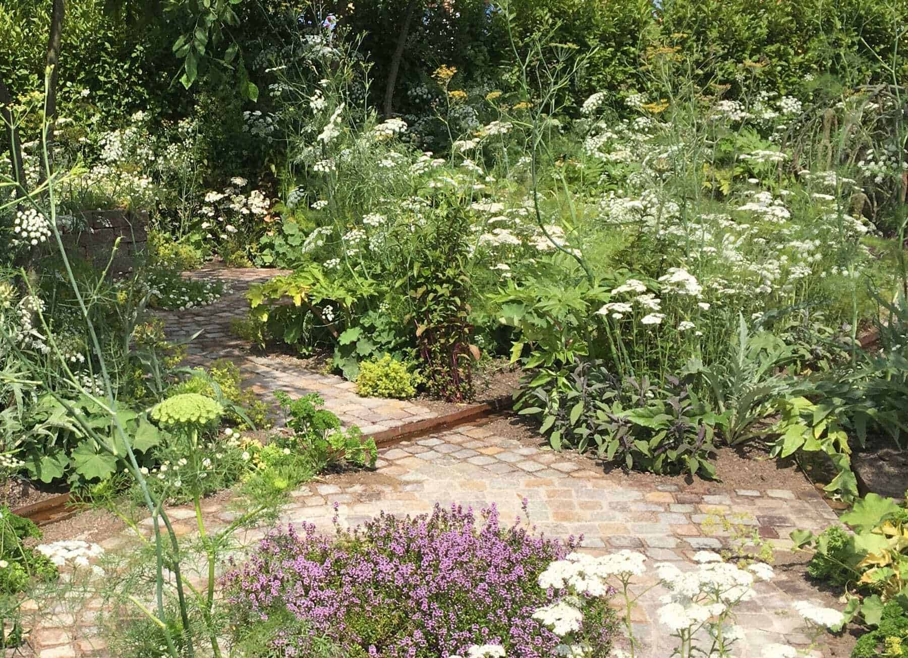 Herbal elements | Bestall & Co - herbs to grow as key design features