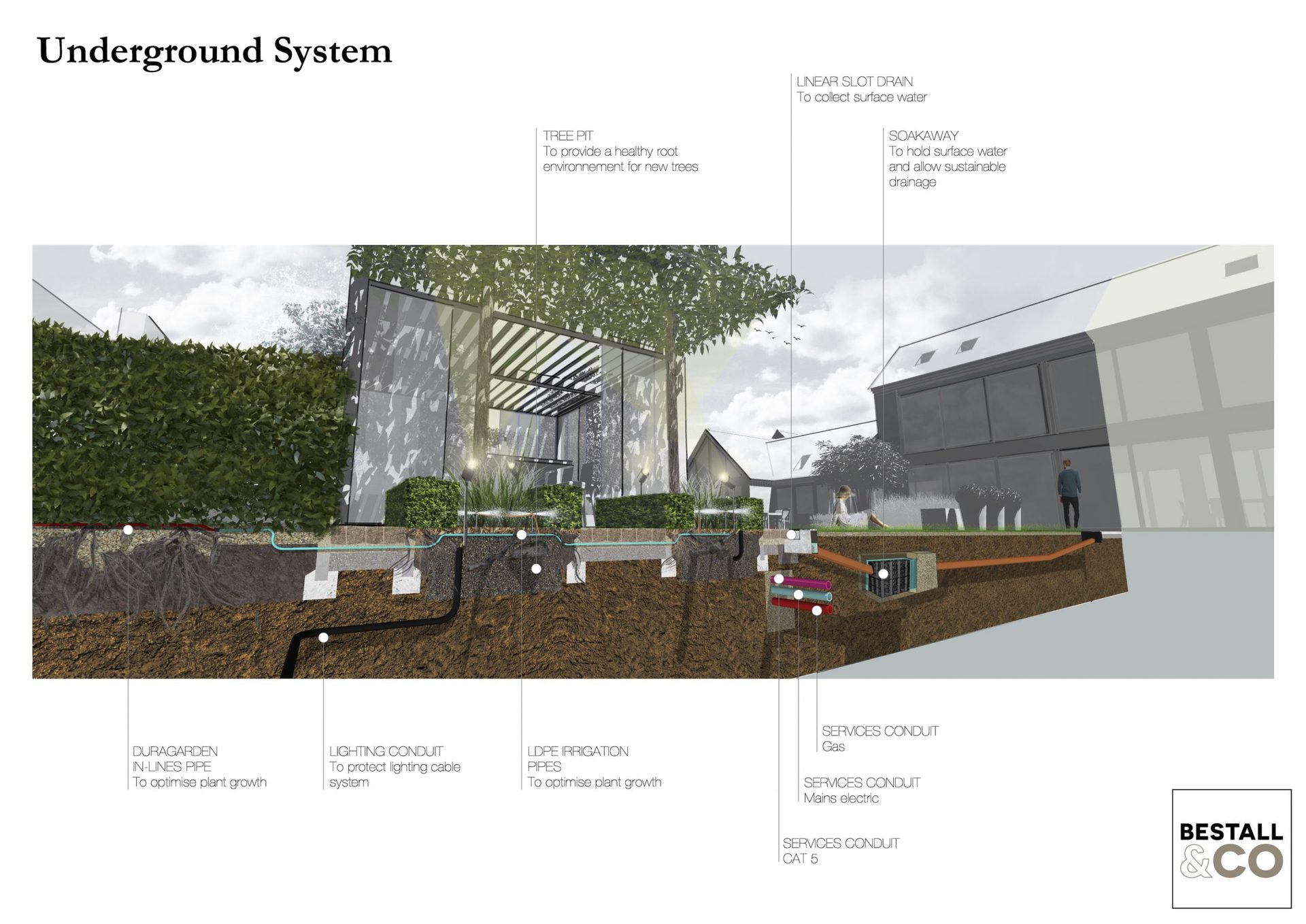 10 surprising things you never realised underneath one of our gardens