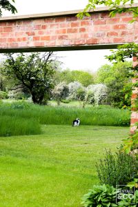 A Grand Modern-Country Space | Bestall & Co