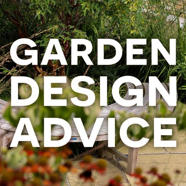 Pollarding explained: Top 5 trees to pollard - Bestall & Co. Landscape ...