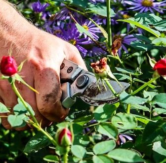 What Does Chop And Drop Mean? Is it a good solution?