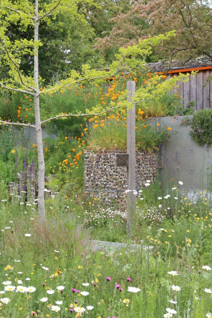 What is Brownfield gardening? | Bestall & Co