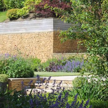 Pollarding explained: Top 5 trees to pollard - Bestall & Co.